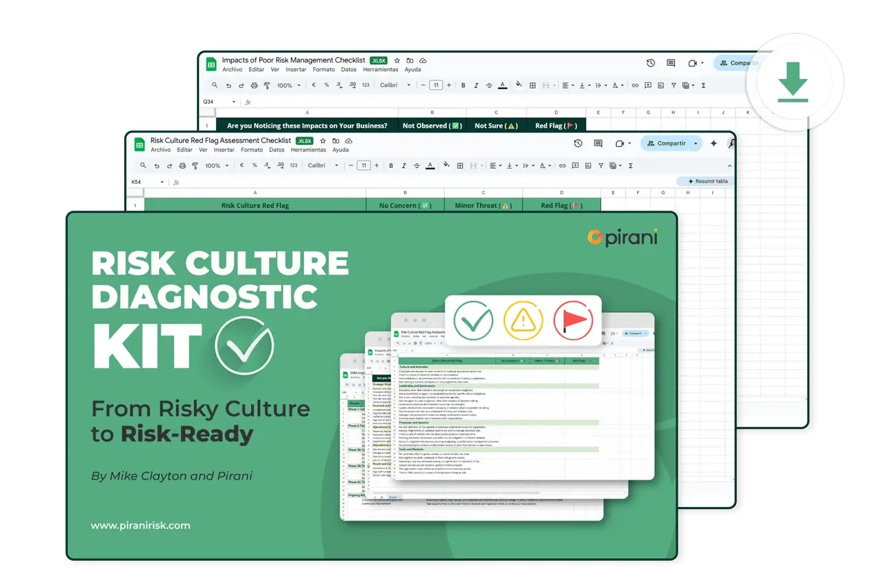 Risk Culture Diagnostic Kit | Pirani